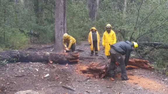 Se habilitan los senderos en la Seccional Gutiérrez | Económicas Bariloche