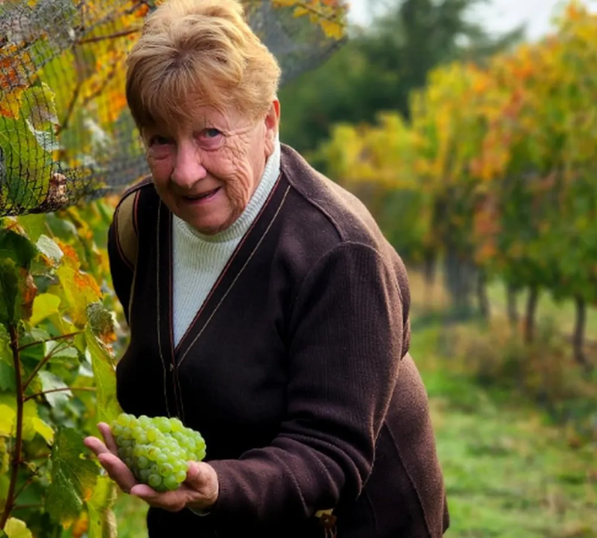 Viñas del Nant y Fall, la bodega del sur del mundo que enamora a ...