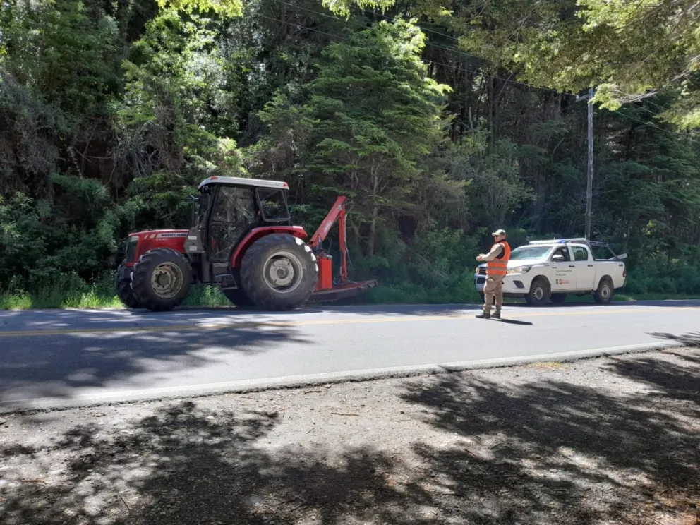 Trabajos preventivos de incendios forestales en Circuito Chico ...